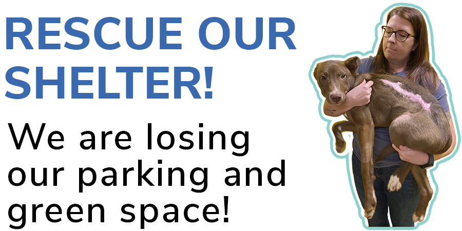 HOME - Mostly Mutts AR