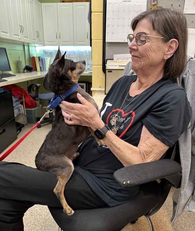 Eugene - Mostly Mutts AR