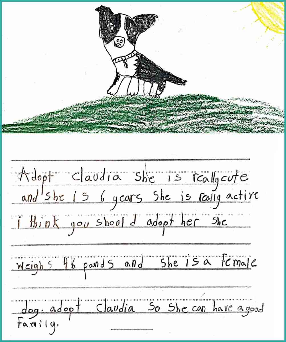 Claudia - Mostly Mutts AR