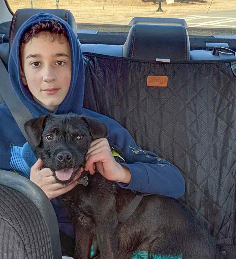 Clay - Mostly Mutts AR